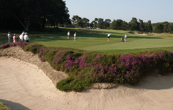 Our Tournaments :: Walton Heath Golf Club